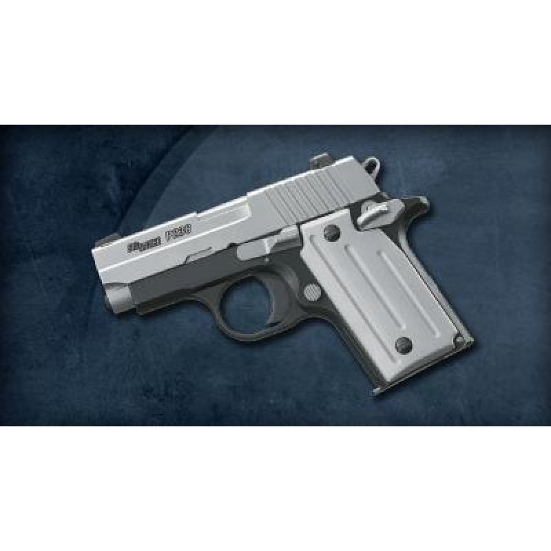 Sig Sauer P238 Two Tone Fiyat